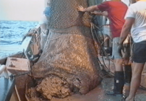 Water pollution from cruise ships (part 1) | Cruise ships: Recreation ...