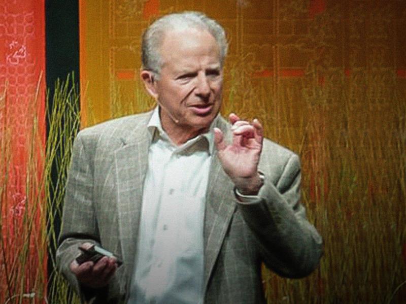 How Does Play Shape Our Development? - TED Radio Hour - WNYC