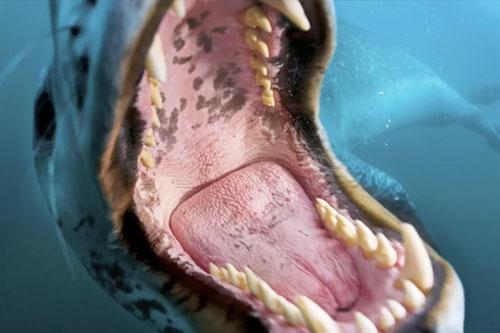 Diver Encounters Deadly, 13-Foot Leopard Seal : r/thalassophobia